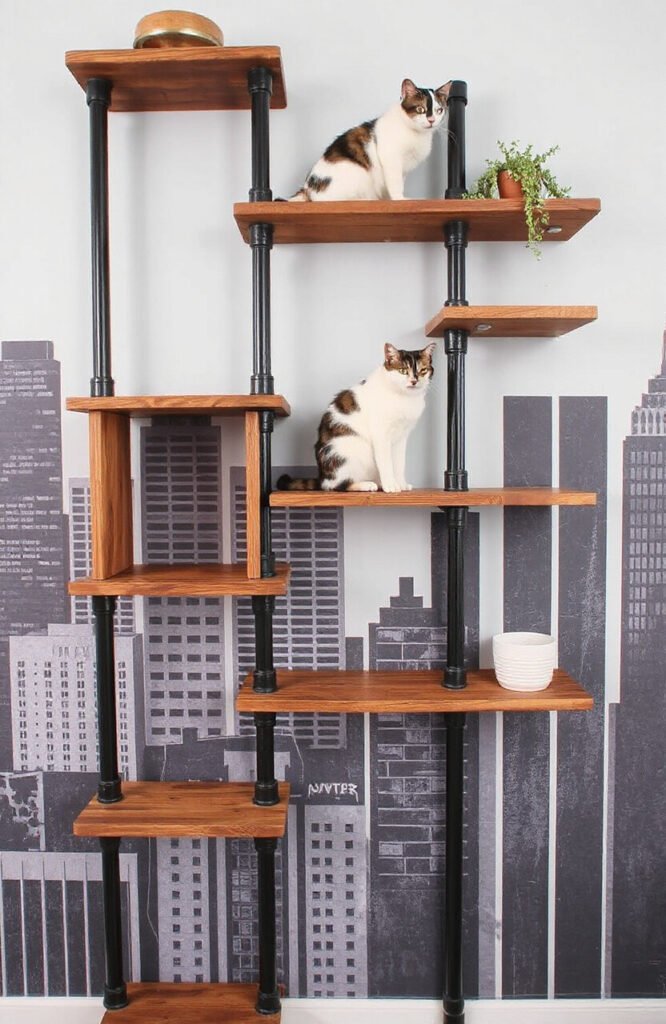 11+ Top Ideas for a Cat Shelf System to Inspire You – fitois